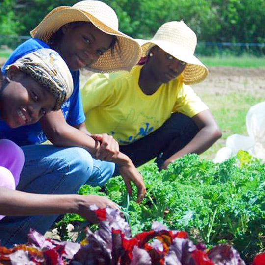 10 Urban Farms in Philadelphia You Can’t Miss - Grid Magazine