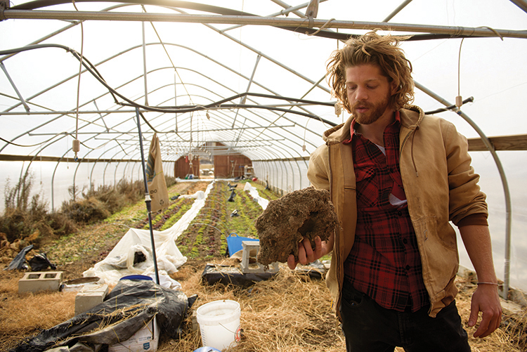 Heritage Farm enriches soil and community with Korean natural farming ...