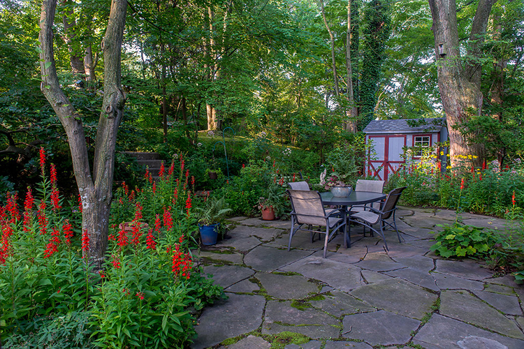 Sustainable Landscape Design: Five questions to ask before going wild ...