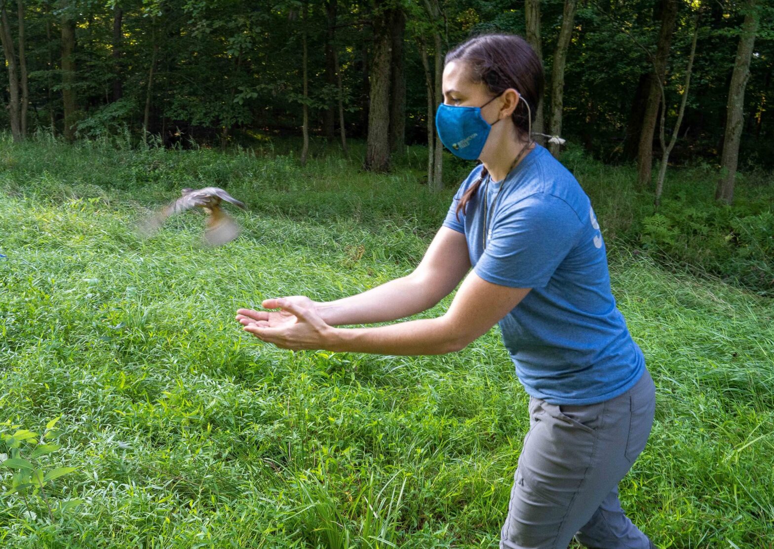 Conservation managers use bird banding to study birds and restore their ...