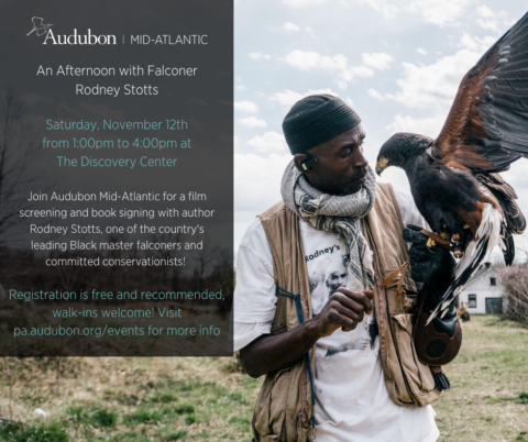 An Afternoon with Author and Master Falconer Rodney Stotts - Grid Magazine