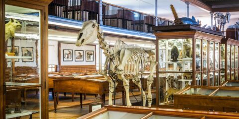 Visit the Wagner Museum 2025 - Grid Magazine