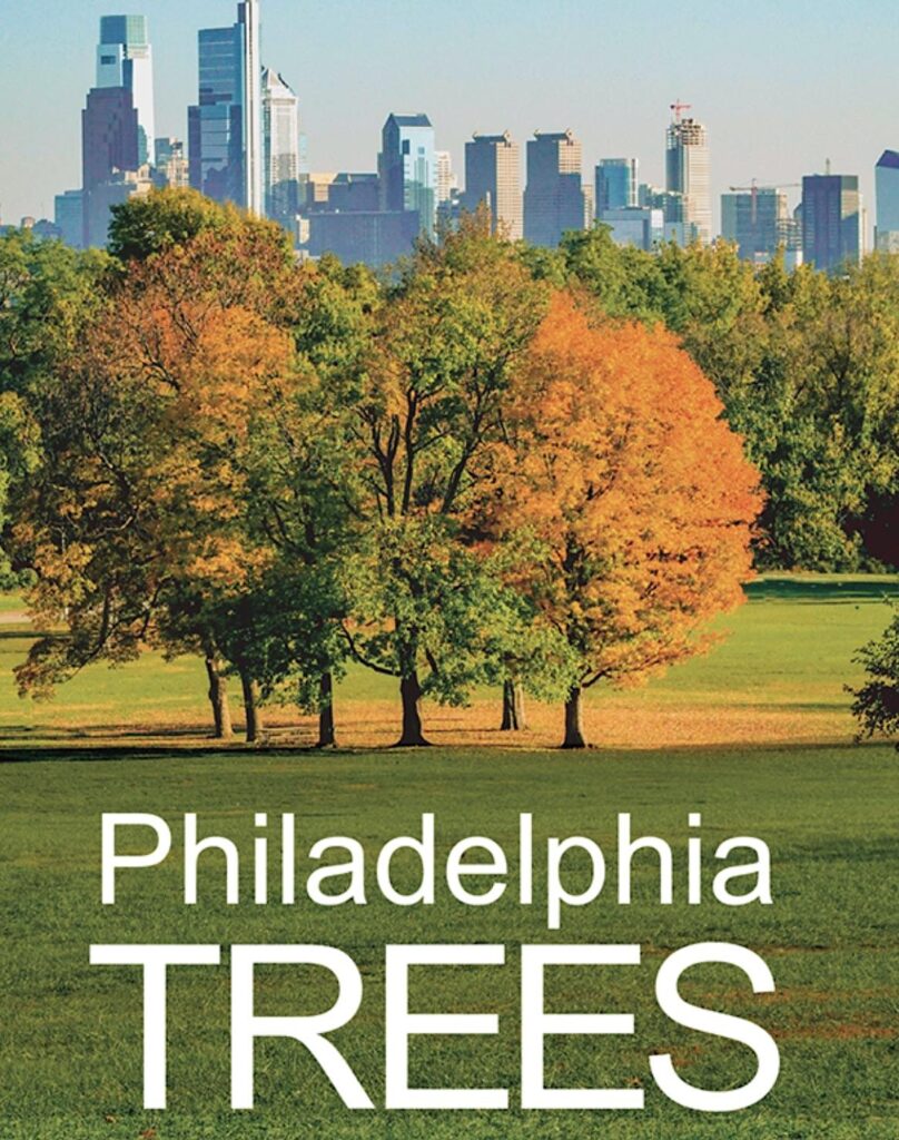 Celebrating Philadelphia Trees - Grid Magazine