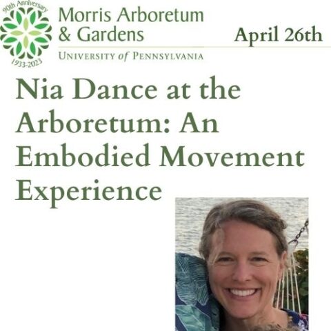 Nia Dance at the Arboretum: An Embodied Movement Experience - Grid Magazine