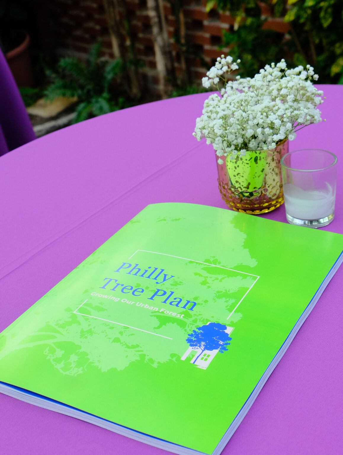 The City’s long-awaited, ambitious tree plan has been released. Here’s ...