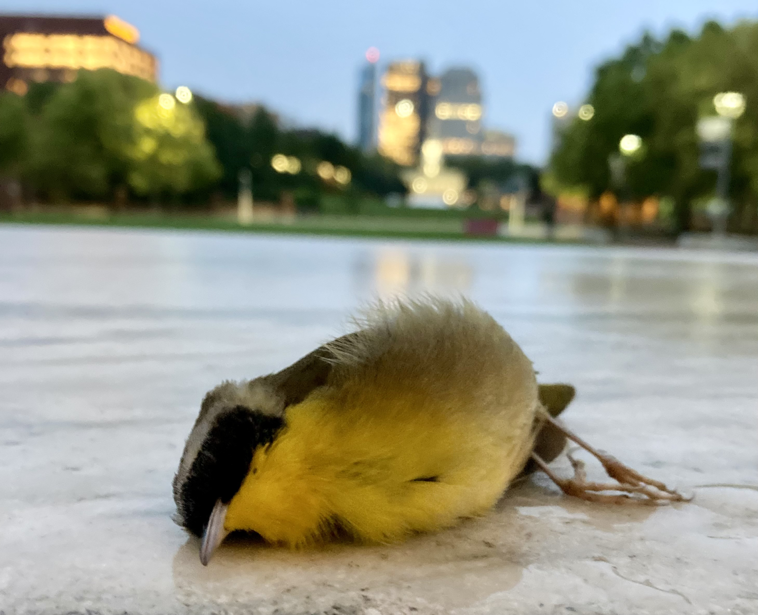 Early successes (and failures) stand out in the effort to reduce ...