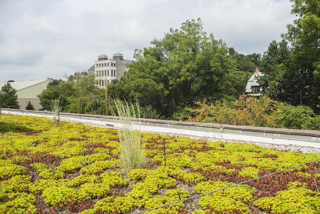 Sustainability Tour of Campus - Grid Magazine