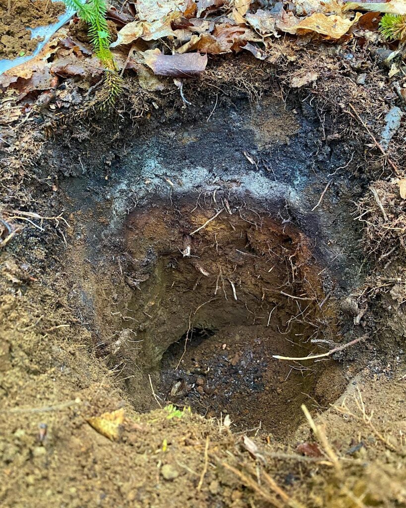 Life Beneath our Feet: Learning About Soil - Grid Magazine