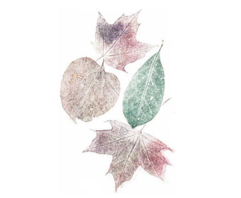 Hand Printing from Nature - Grid Magazine