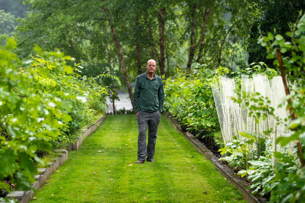 Park groups take native plantings beyond the urban wilds - Grid Magazine