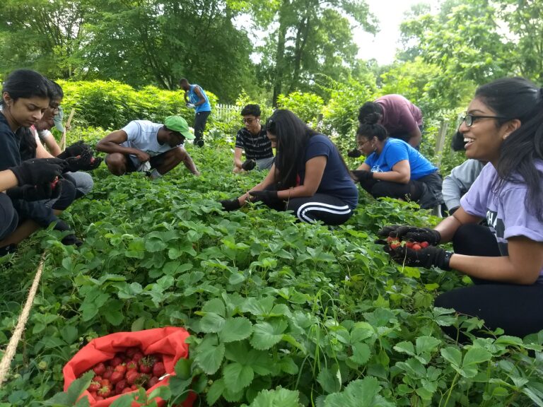 Strawberry Mansion Orchard Workday with Philadelphia Orchard Project ...