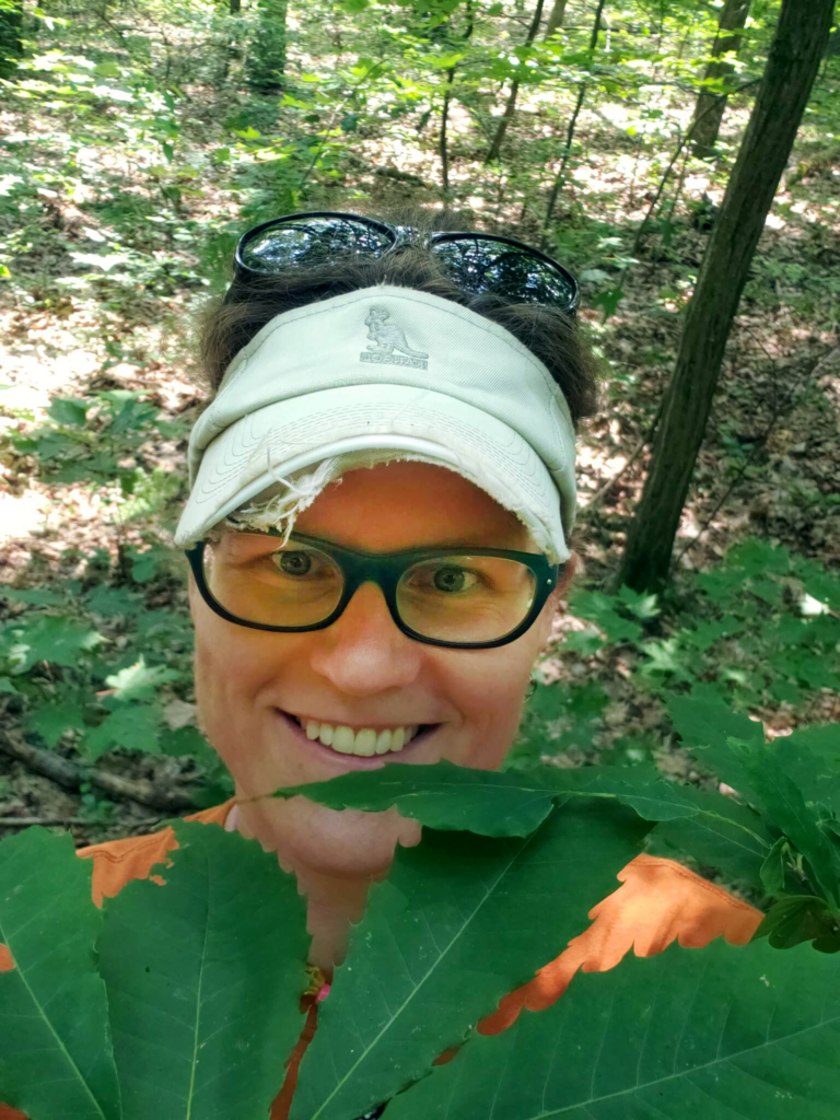 Hybridized American chestnut saplings bring hope for the once ...