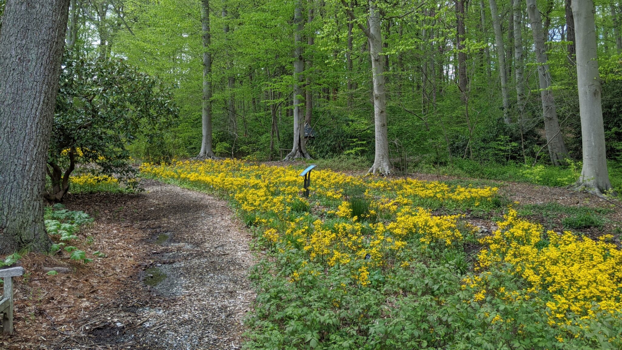 Seasonal Highlights Tour: Native Woodland Walk - Grid Magazine