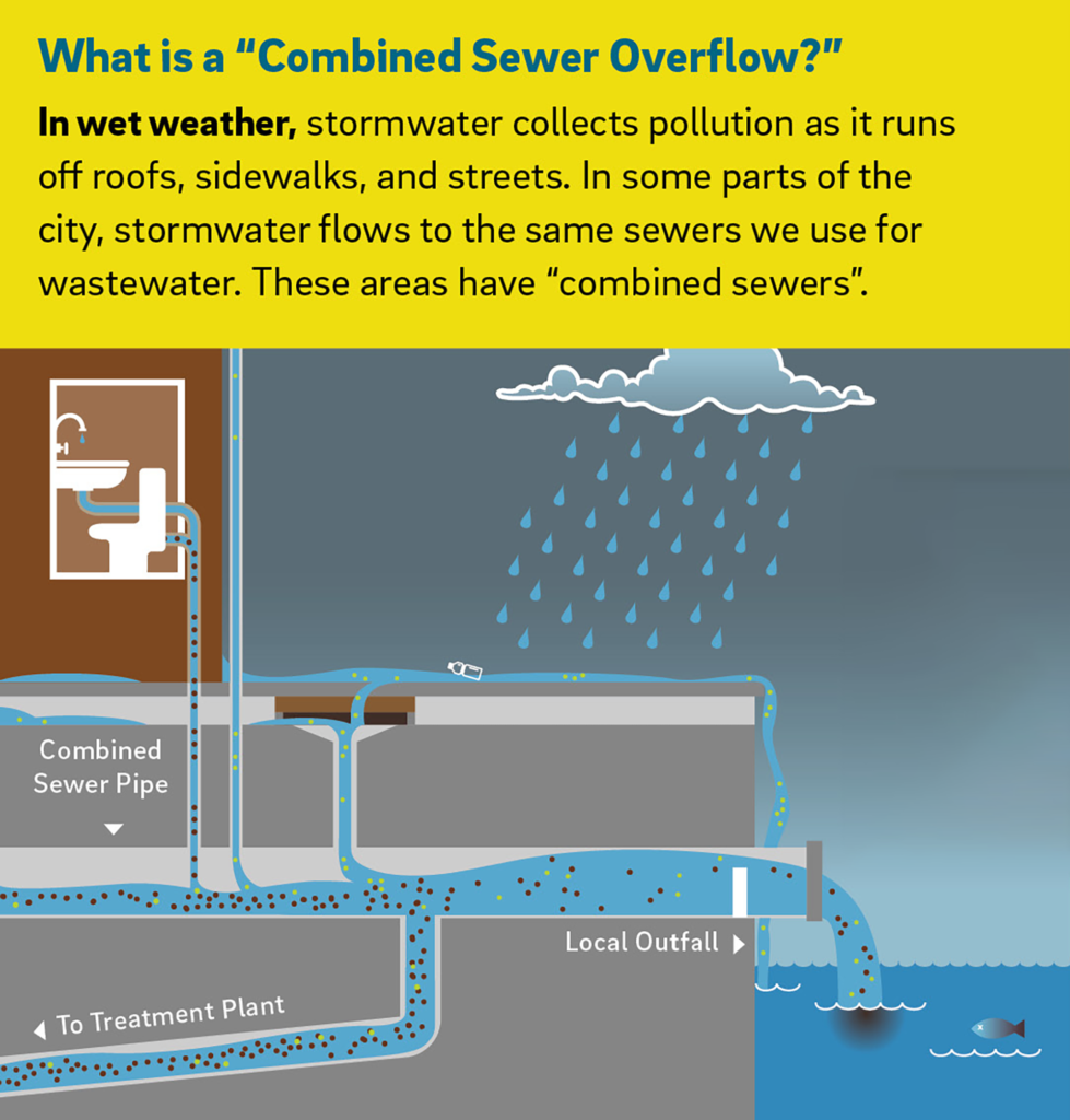 Since 2012, Philadelphia has been installing green roofs and rain ...