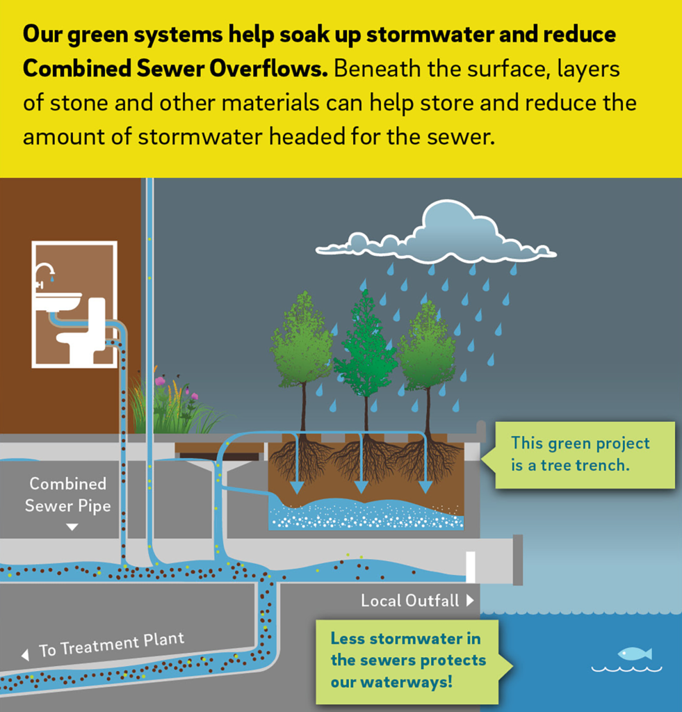 Since 2012, Philadelphia has been installing green roofs and rain ...