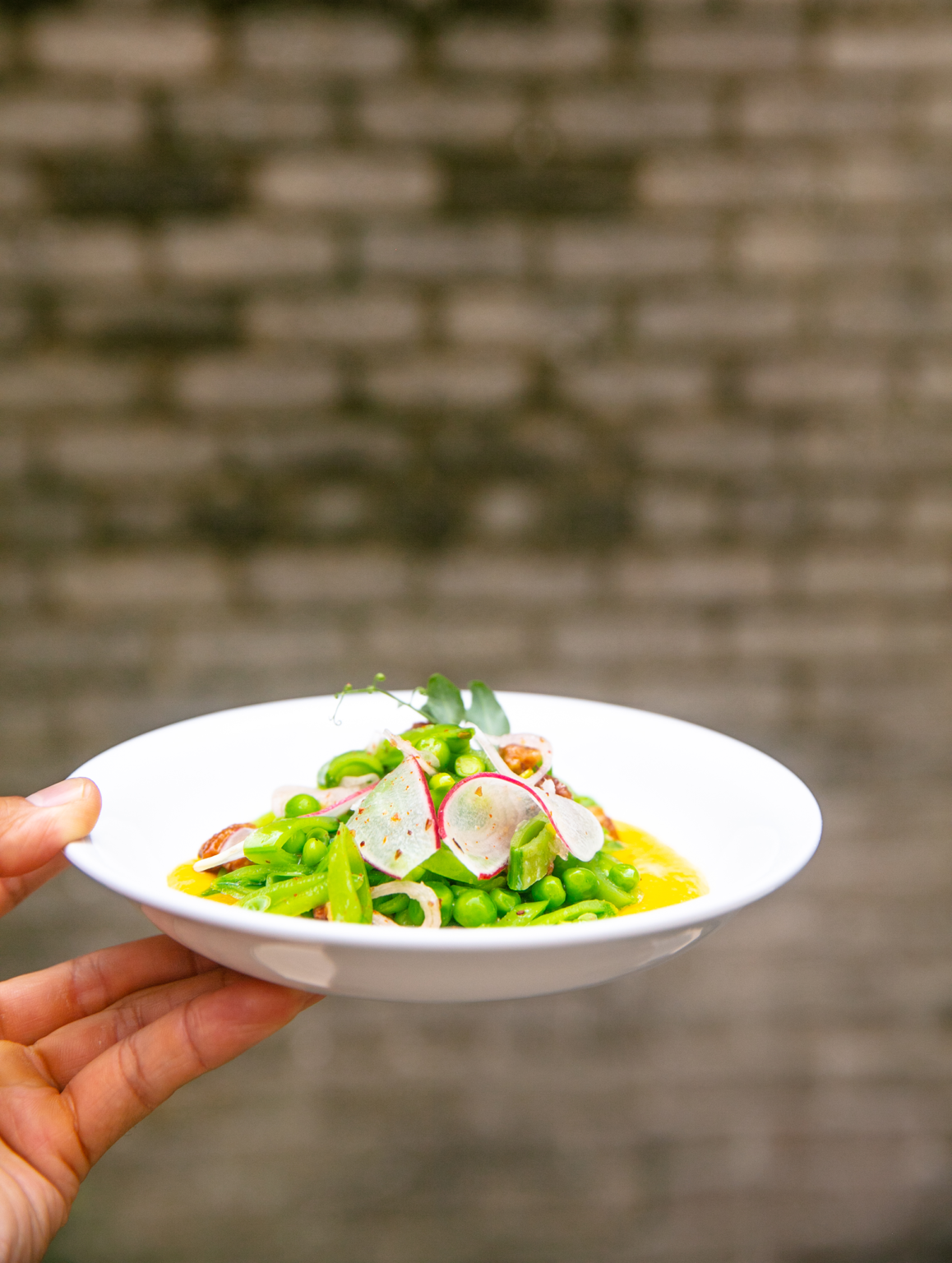 The Food Issue - Grid Magazine