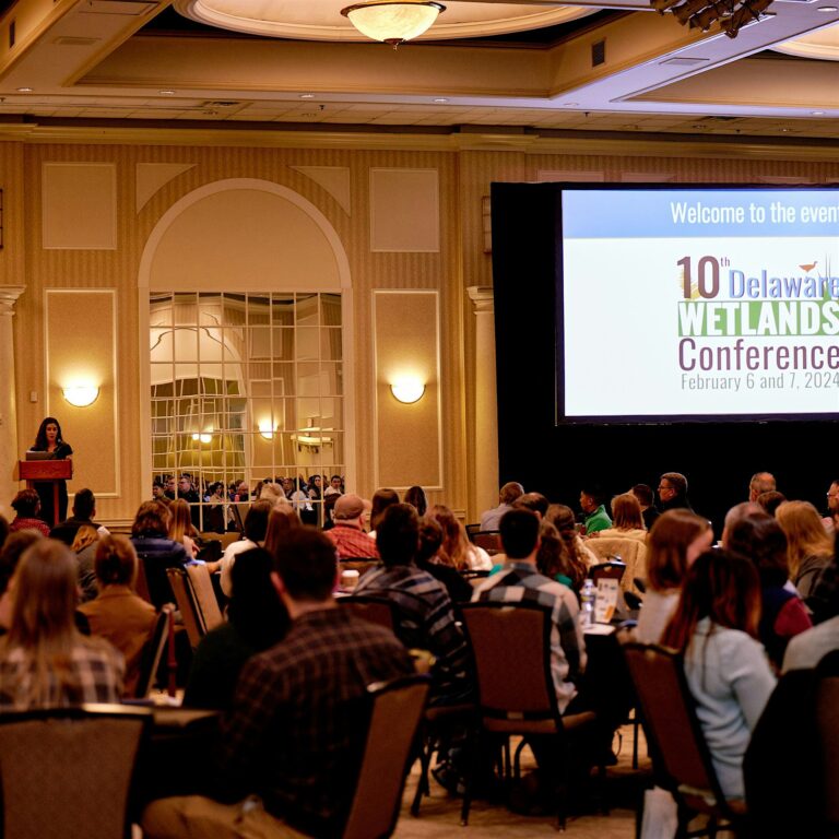 2026 Delaware Wetlands Conference - Grid Magazine